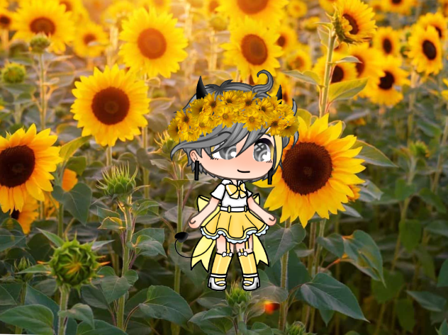 Summer Edit (Read Desc Please) - ibisPaint
