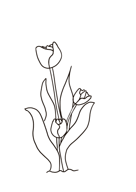 sketsa bunga - ibisPaint