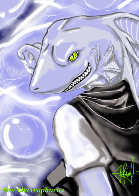 BOA Electrophorus - ibisPaint