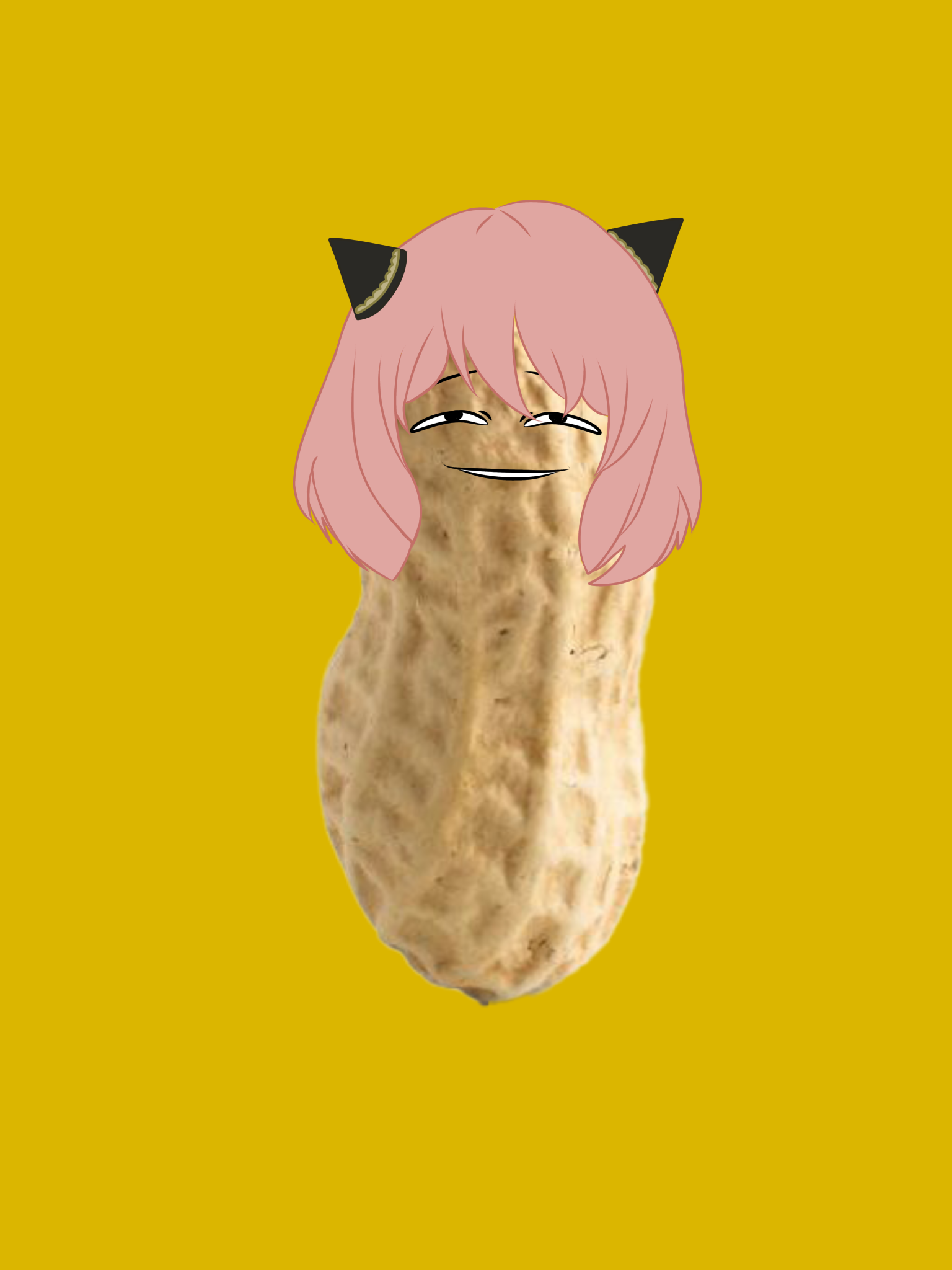 Peanut Anya - ibisPaint