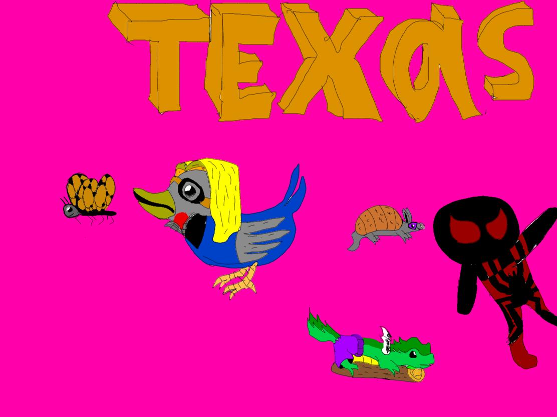 Texas symbols - ibisPaint