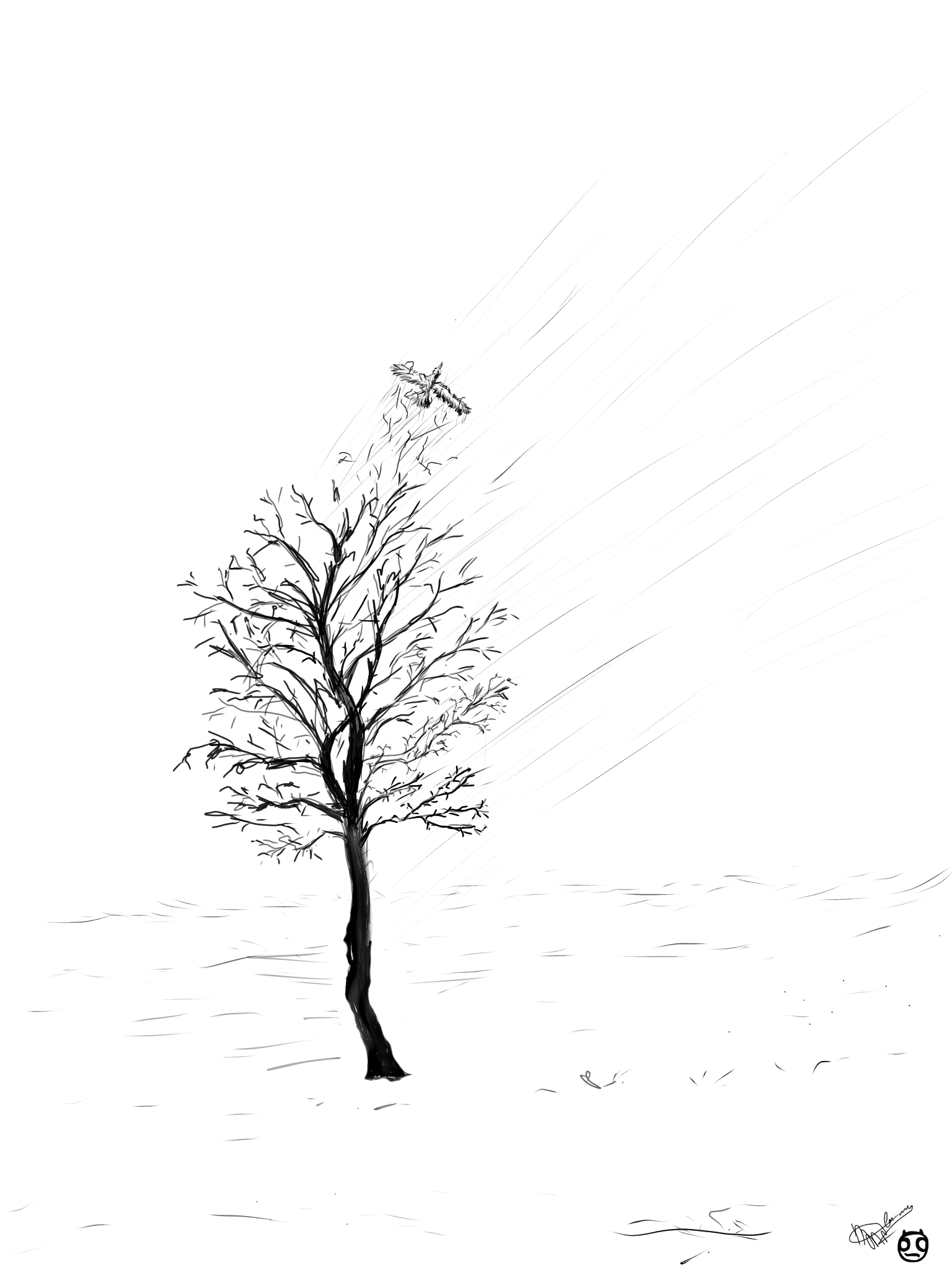 Lonely tree - ibisPaint