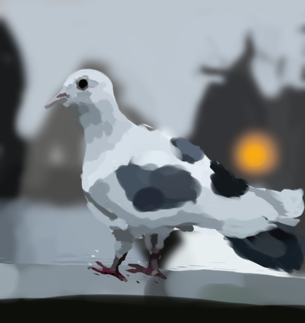 white birdy🤍 - ibisPaint