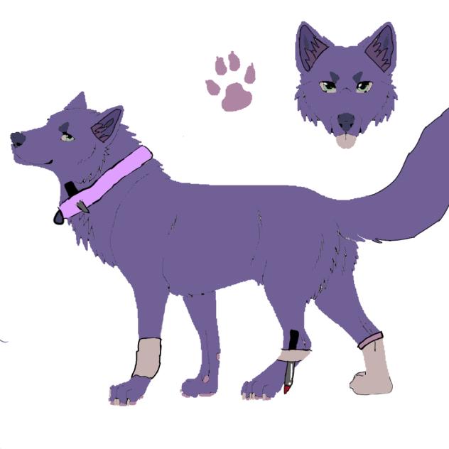 wolf oc - ibisPaint