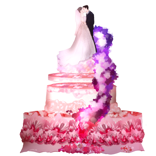 WEDDING CAKE - ibisPaint