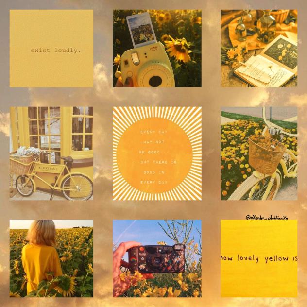 Sunshine Core - Moodboard - ibisPaint