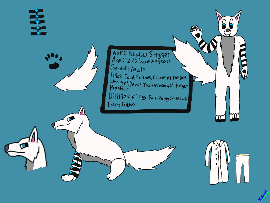 Shadow Stryker Reference Sheet - ibisPaint