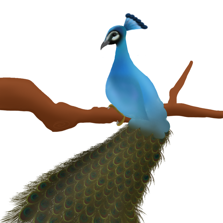 The Peacock - ibisPaint