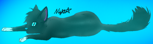 my oc nightstar - ibisPaint