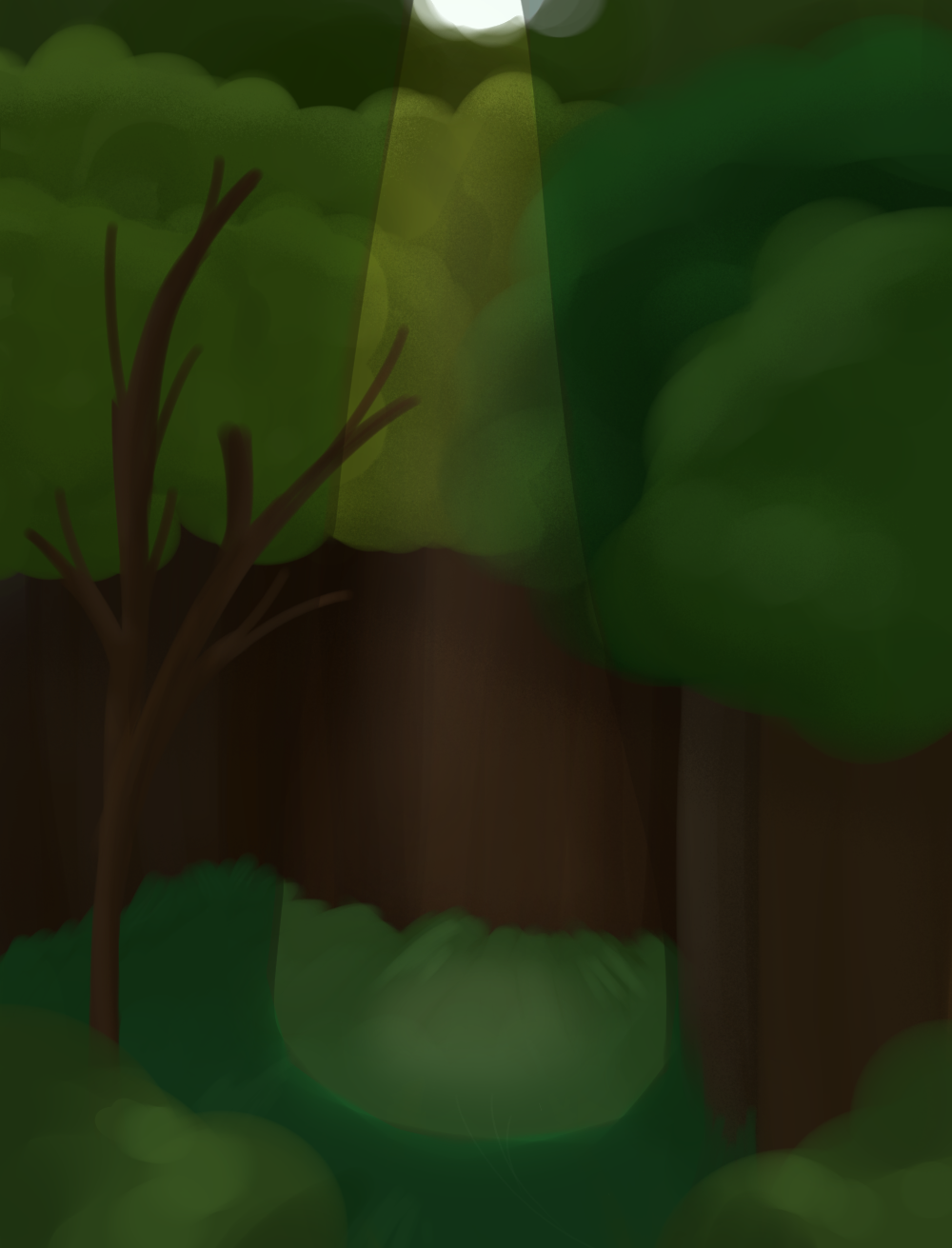 The forest - ibisPaint