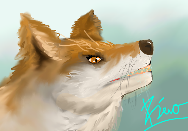 Cute Fox - ibisPaint