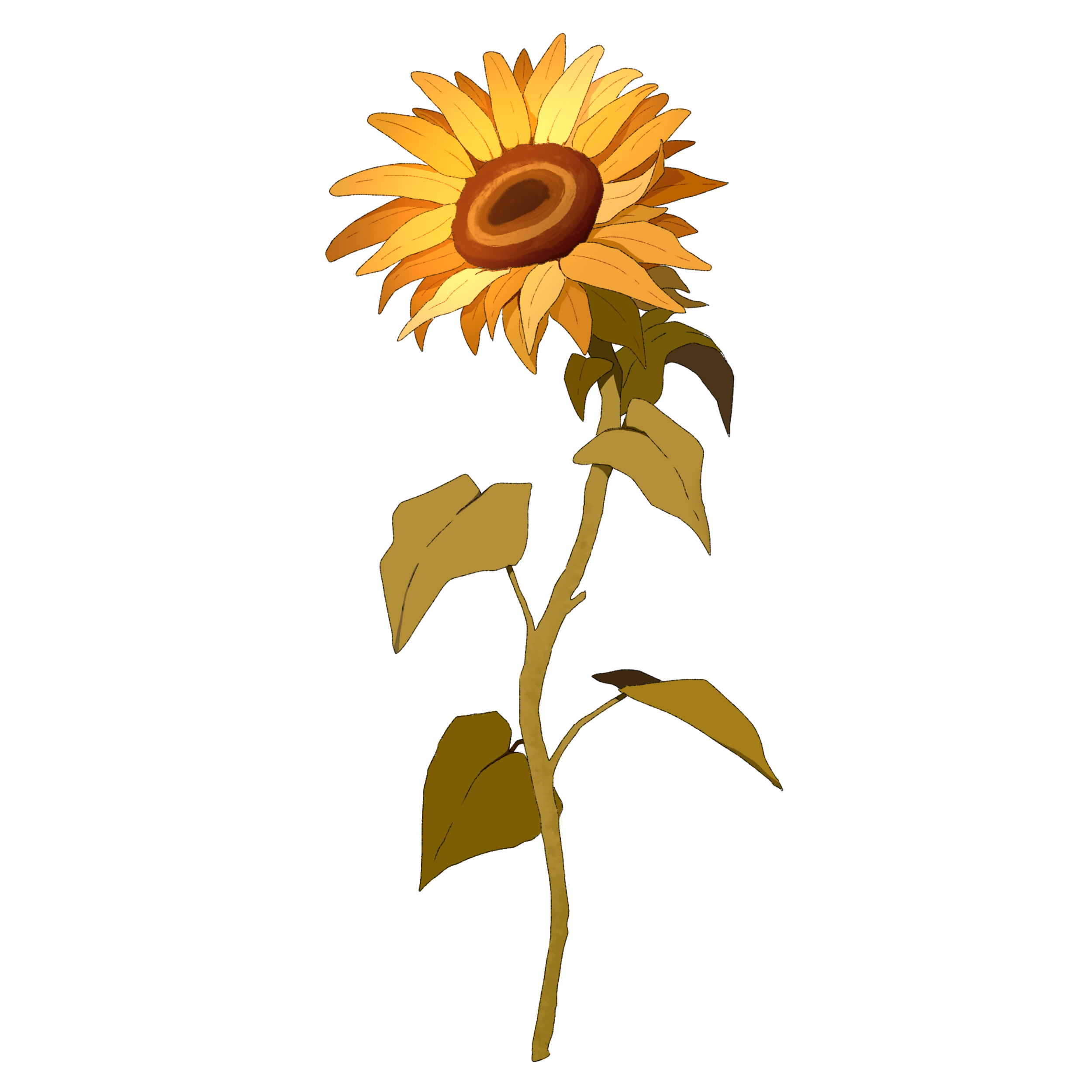 Sunflower - ibisPaint