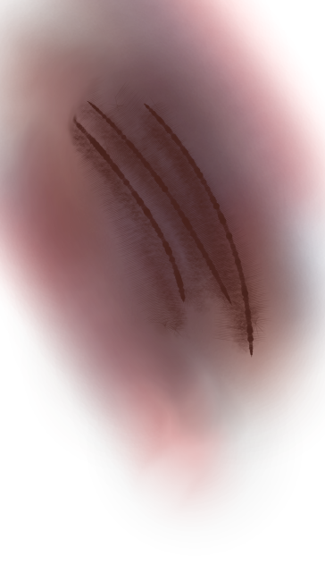 werewolf scar - ibisPaint