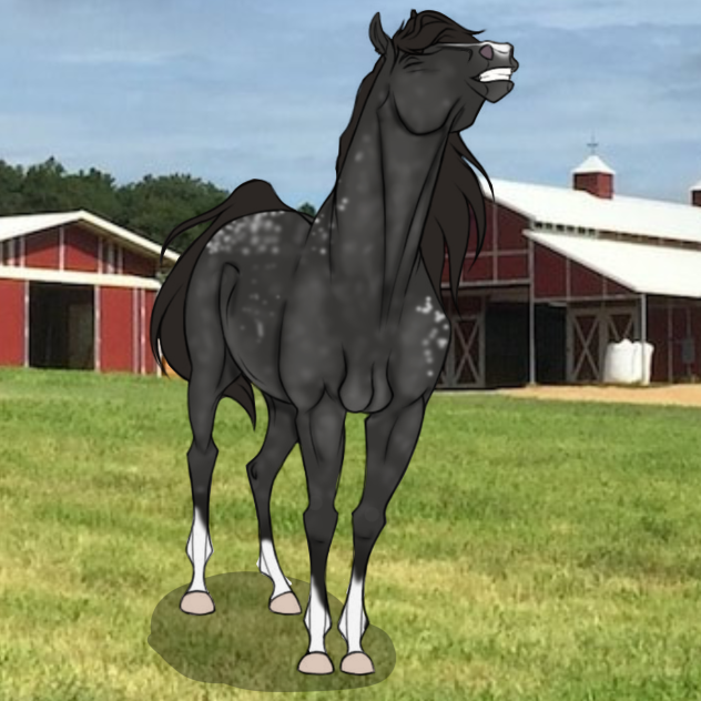 Happy boi - ibisPaint