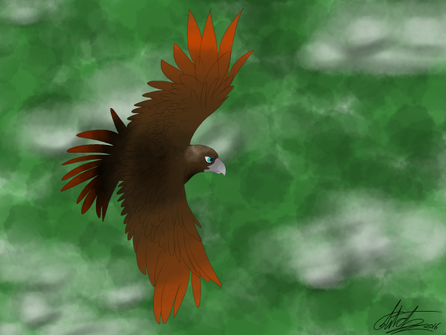 Hawk Speedpaint Gift - ibisPaint