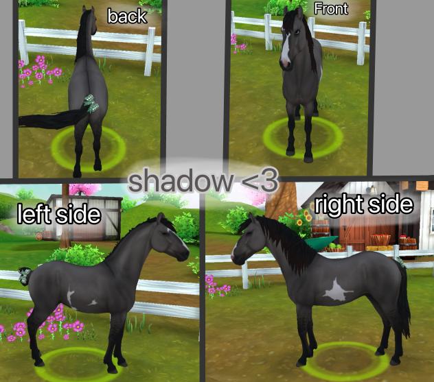 Horse,shadow, full body - ibisPaint