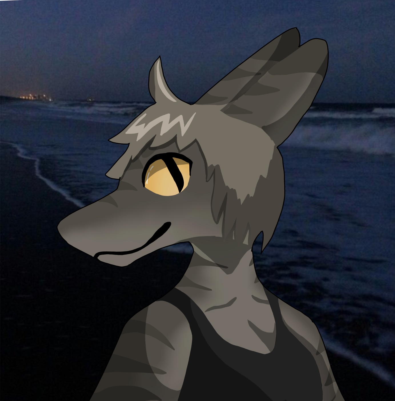 cat-shark hybrid - ibisPaint