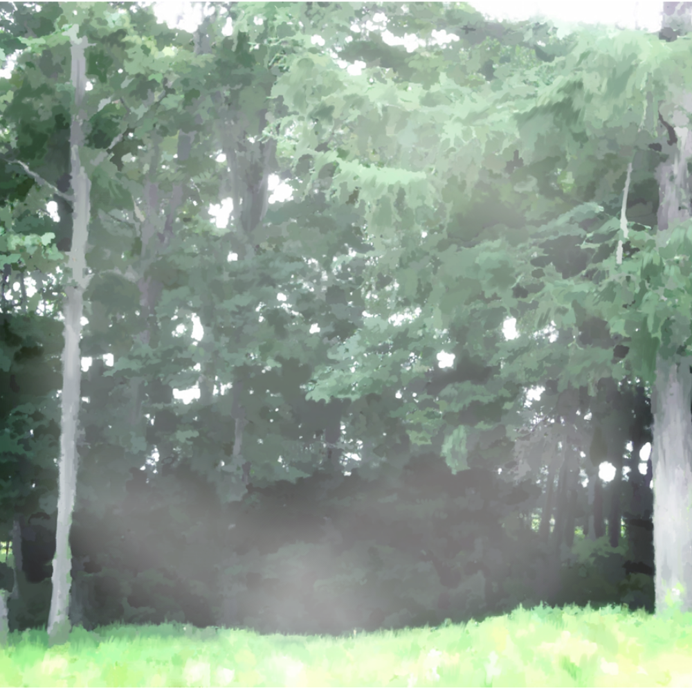 Misty forest - ibisPaint