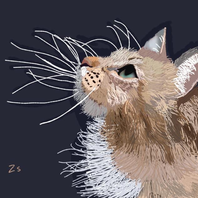 Cat - ibisPaint