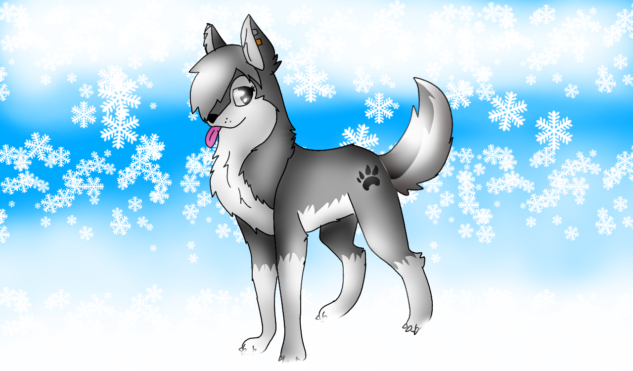 Speedpaint Tika the wolf - ibisPaint