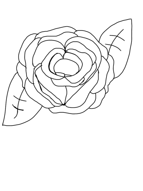 rose (blank) - ibisPaint