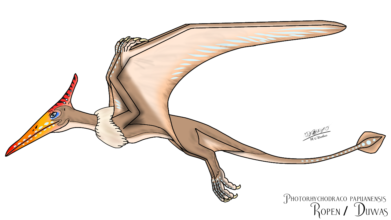 Ropen (2023) - ibisPaint