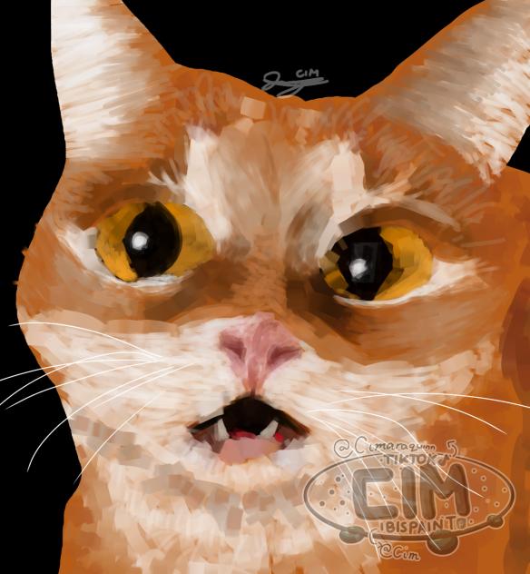 Typical Orange Cat - ibisPaint