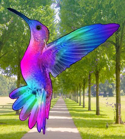 Galaxy hummingbird - ibisPaint