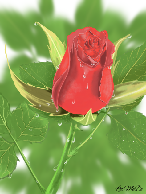 Practice #5. Realistic Rose IbisPaintX - ibisPaint