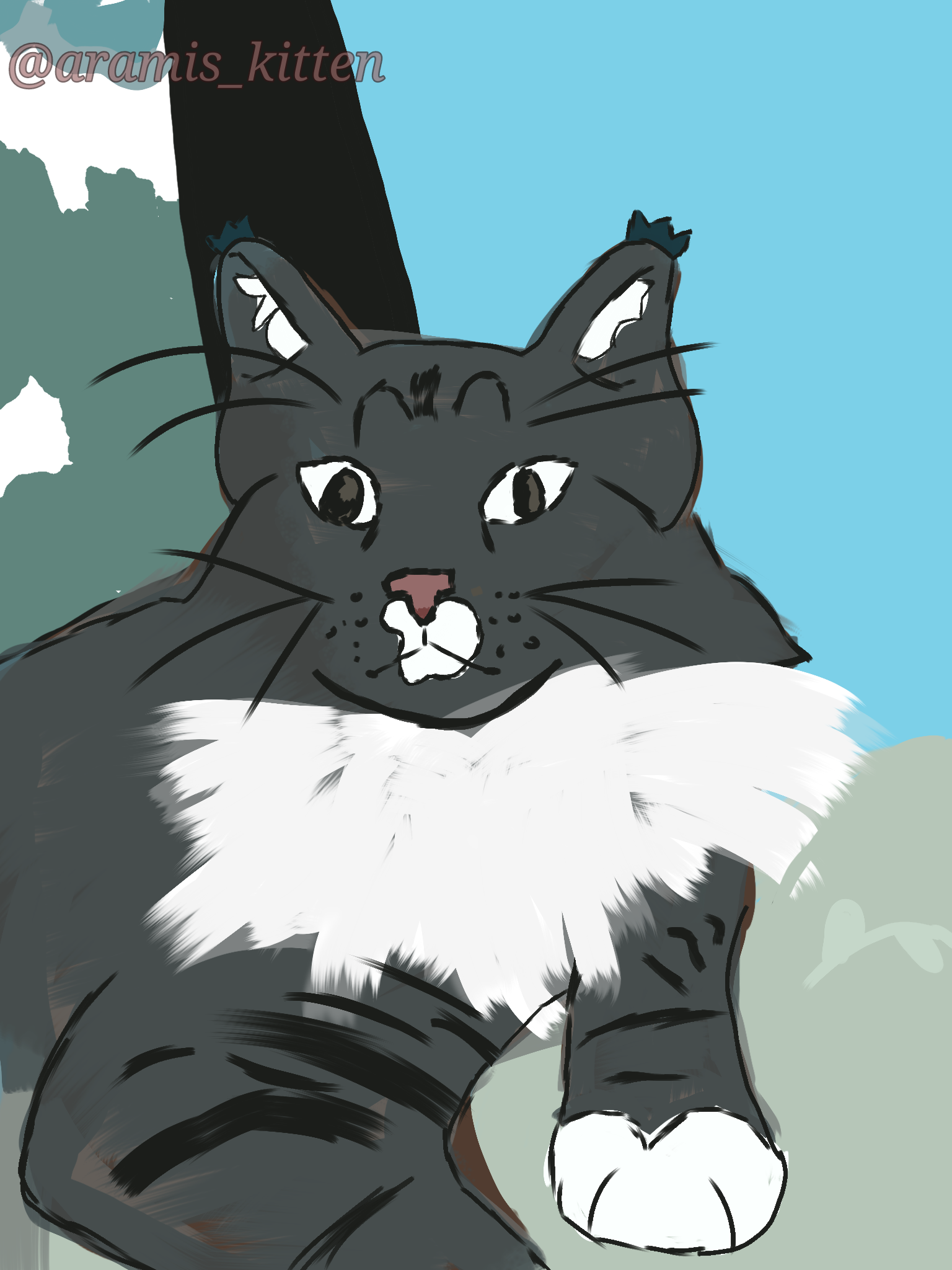 My kittyyuuhh 😼 - ibisPaint