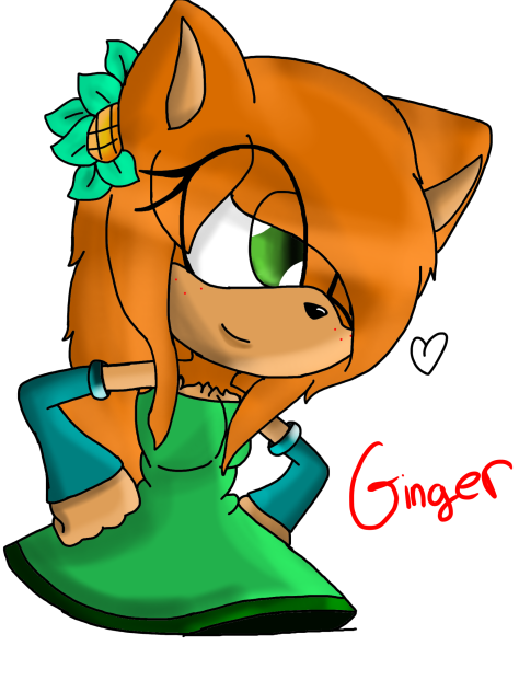 Recoloring Amy Rose To Ginger (Gift) - ibisPaint