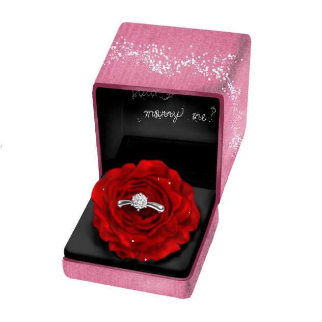 Marry me - ibisPaint