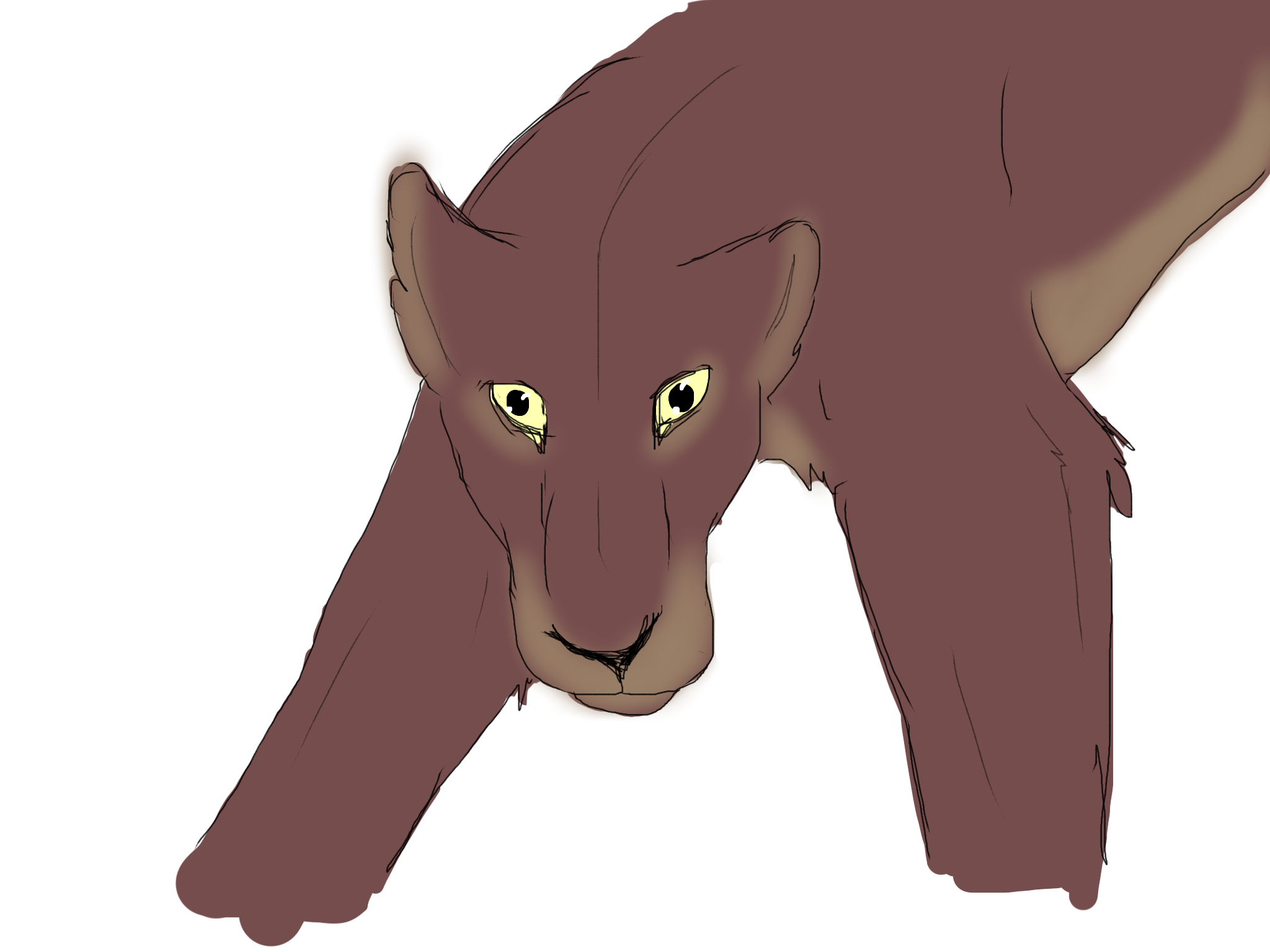 lion practice - ibisPaint