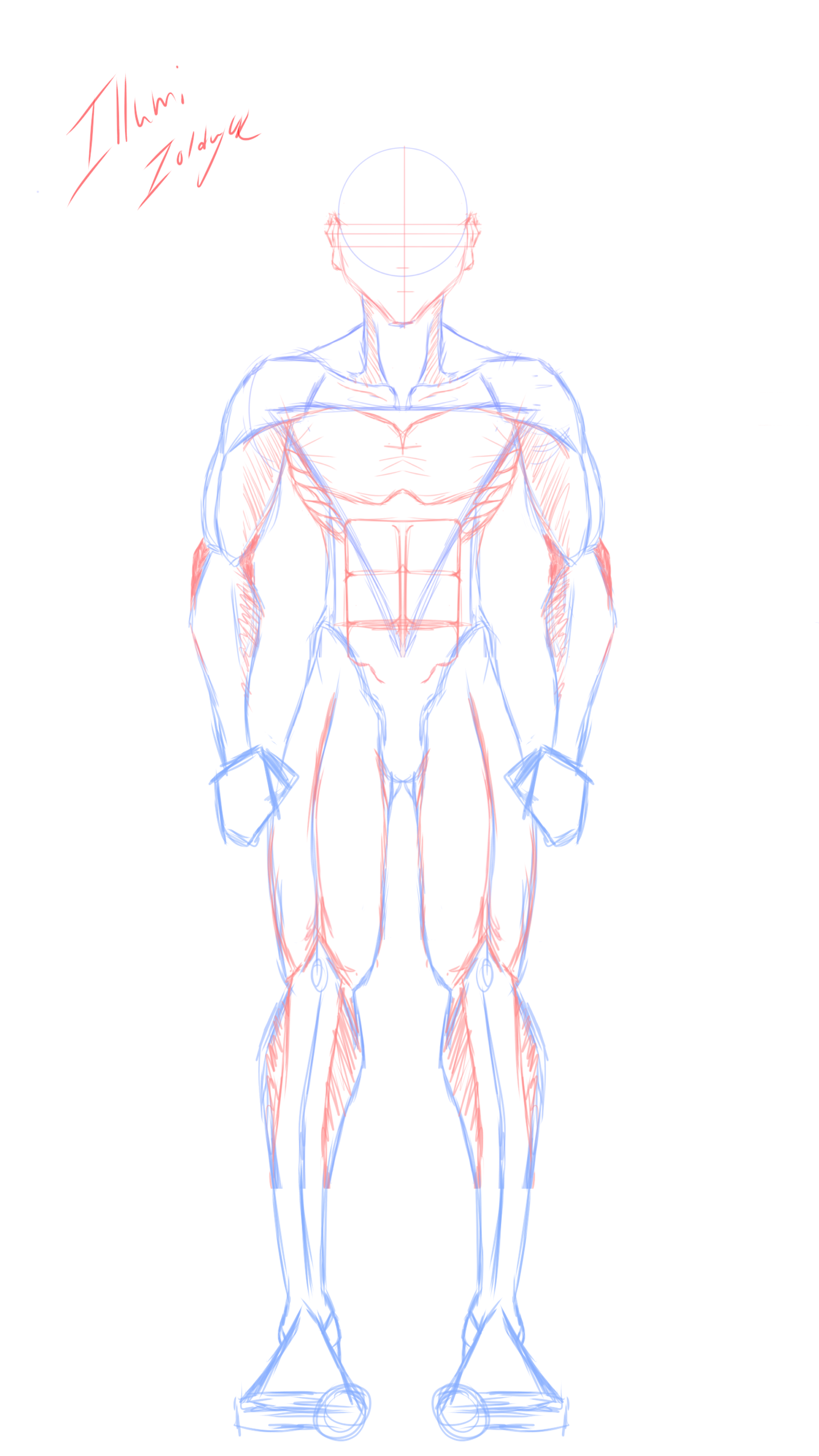 Anatomy Study [Illumi Zoldyck] - ibisPaint