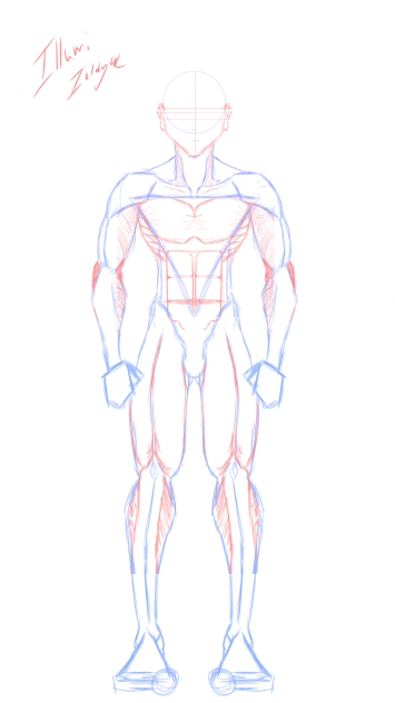 Anatomy Study [Illumi Zoldyck] - ibisPaint