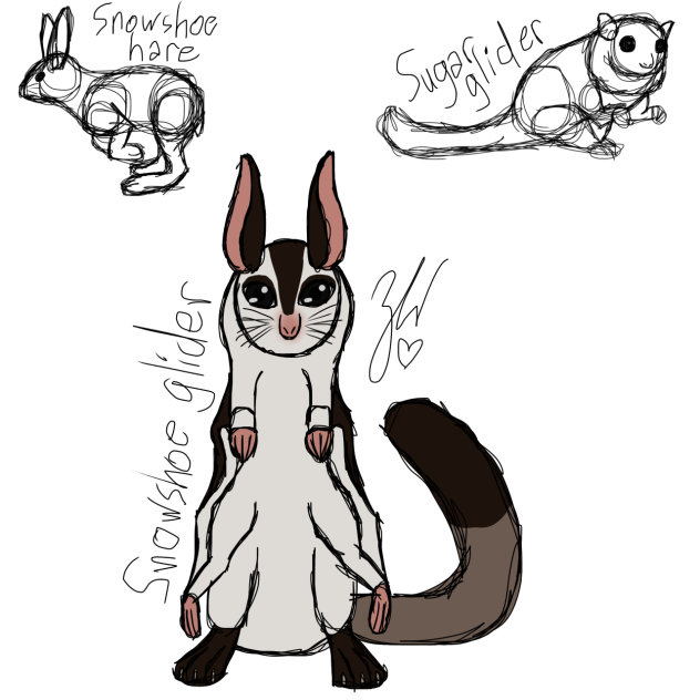 Snowshoe glider - ibisPaint