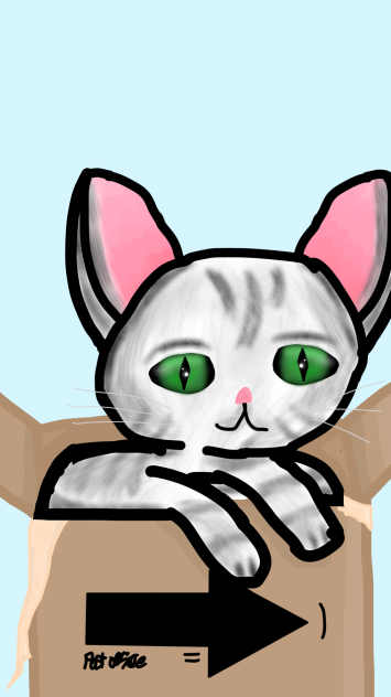 cat in a box - ibisPaint
