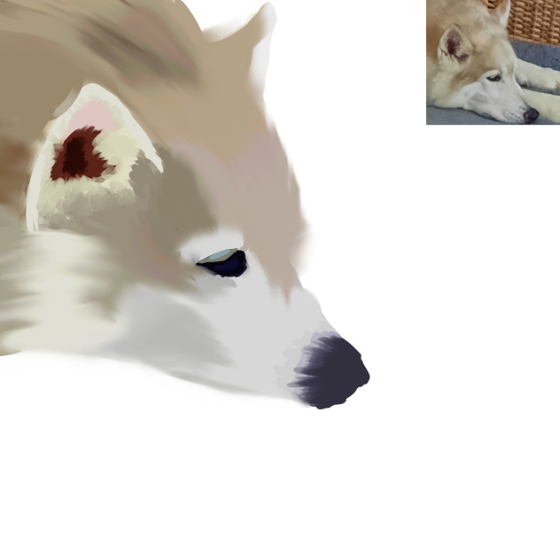 I drew my aunts dog!! - ibisPaint