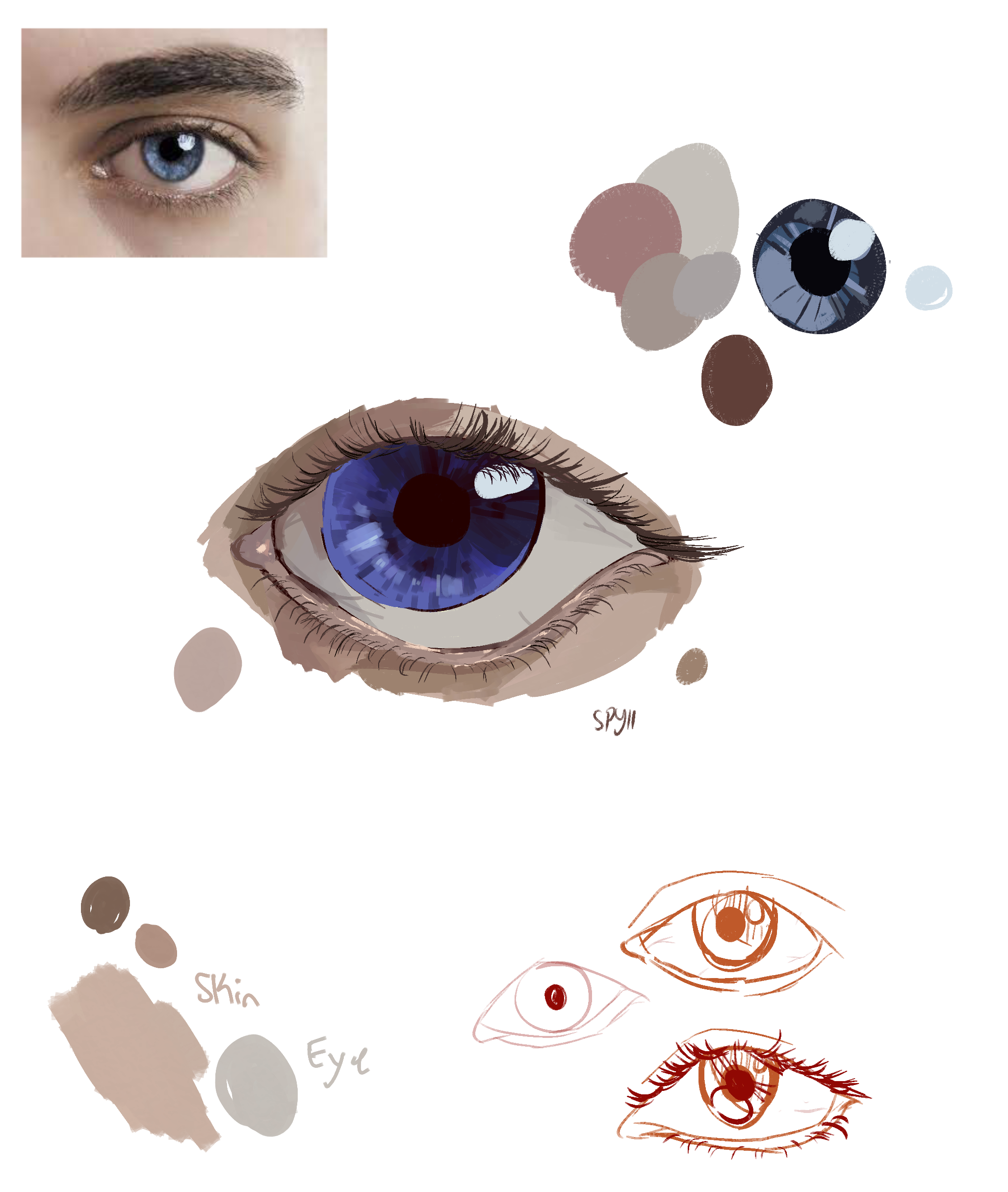 Eye study - ibisPaint