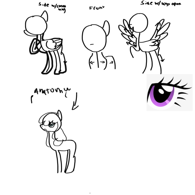 Pony anatomy - ibisPaint