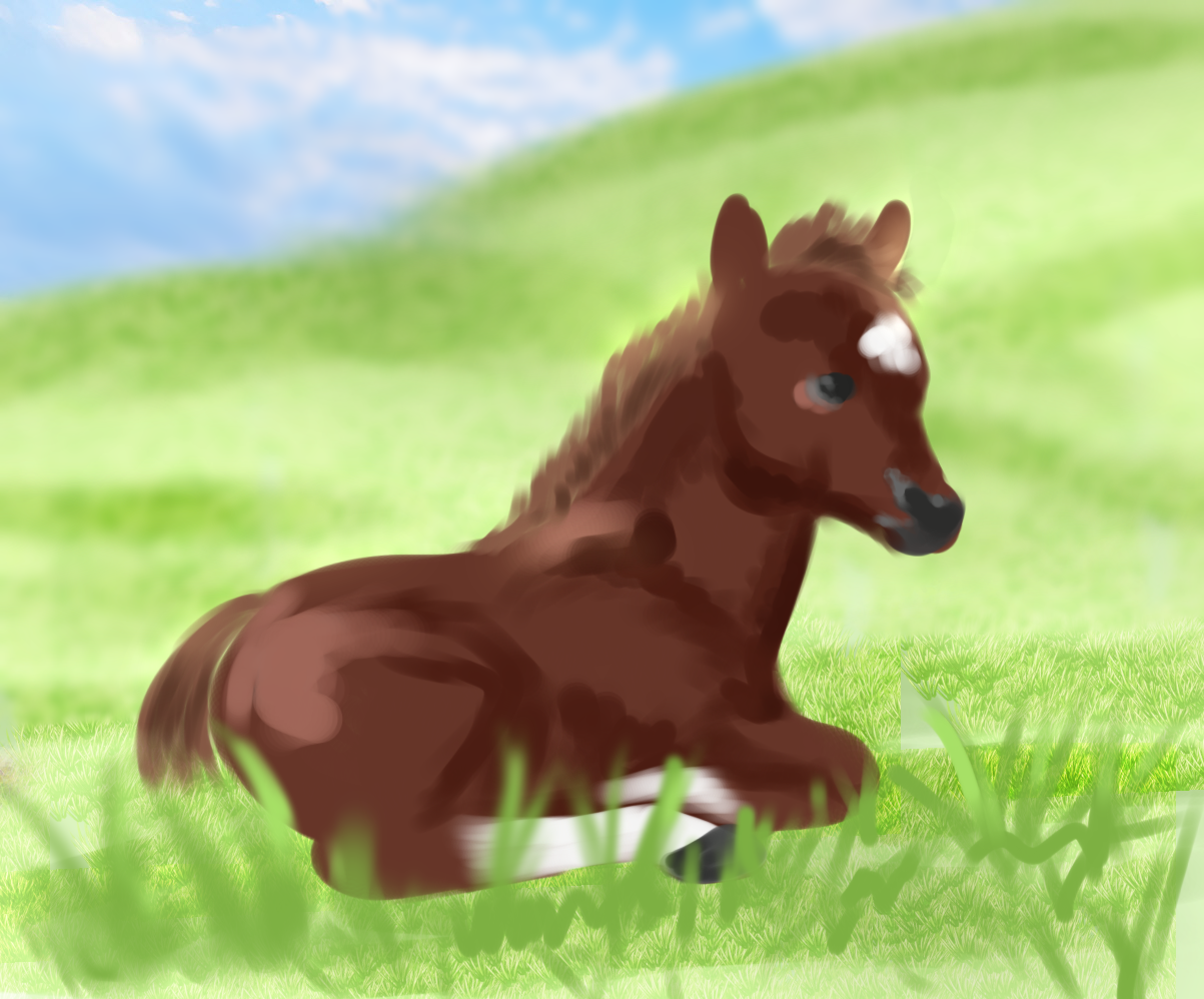 Cute Foal Art - ibisPaint
