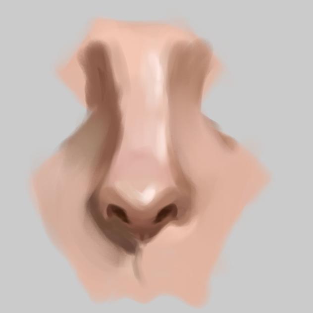 nose xp - ibisPaint