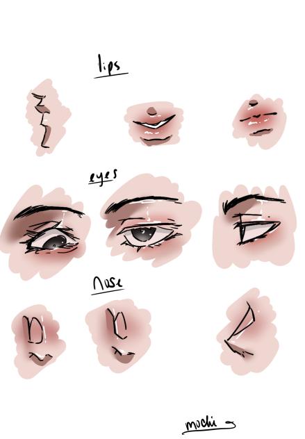 Eyes, nose, lips tut. Colored - ibisPaint