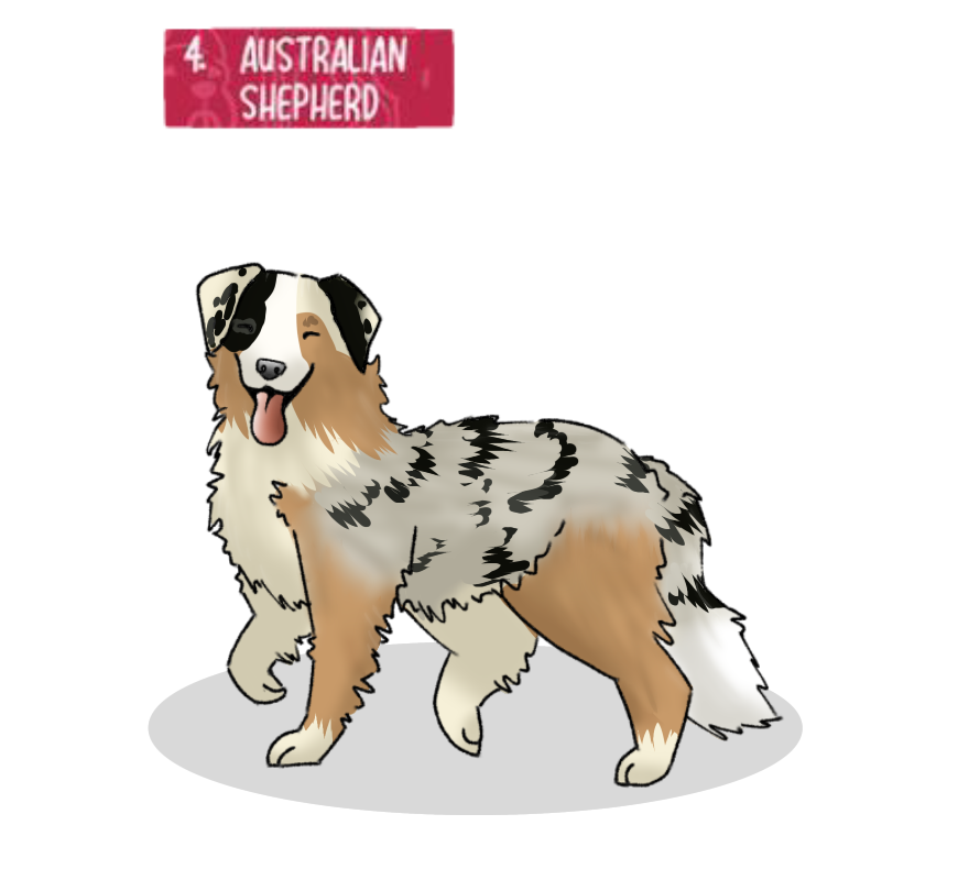 Doggust day 4 - Australian Shepherd - ibisPaint