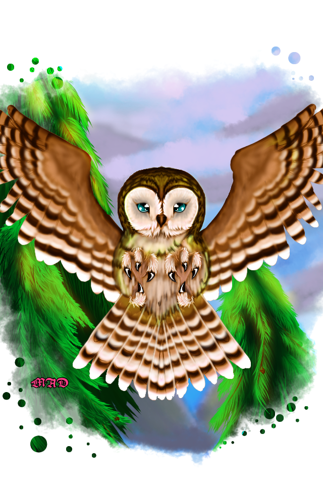 owl - ibisPaint