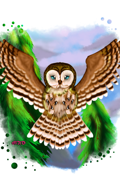 owl - ibisPaint