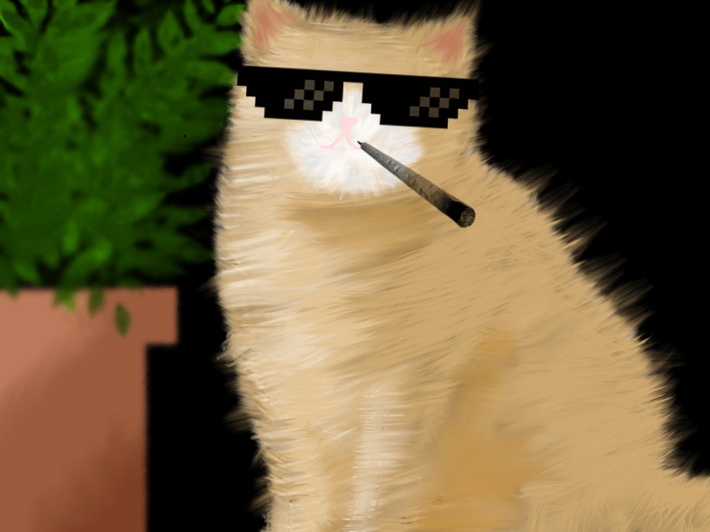 Kitty smoke - ibisPaint