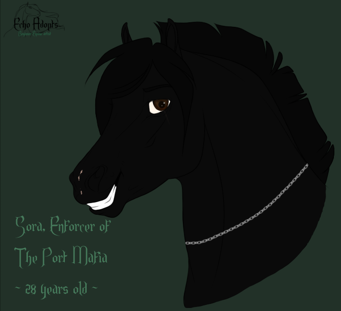 ~ Sora Headshot ~ - ibisPaint