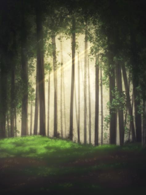 Forest - ibisPaint