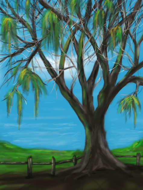tree by the sea - ibisPaint